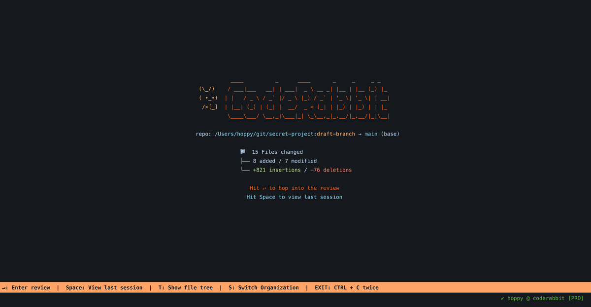 CodeRabbit CLI | AI Code Reviews in CLI
